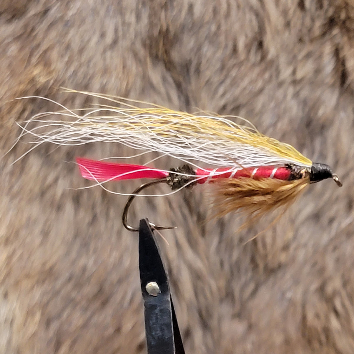 Royal Coachman Streamer Variation – Hunted Treasures