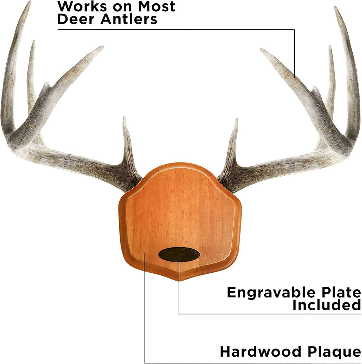 EZ-Mount Showcase Horn Mount Kit – Hunted Treasures