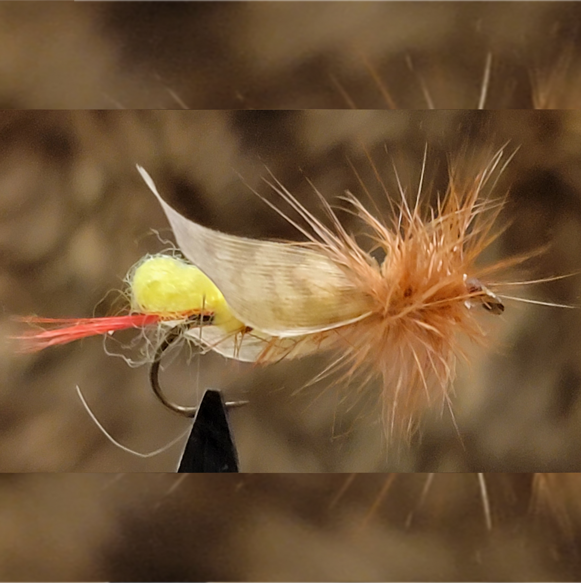 Joe's Hopper – Hunted Treasures