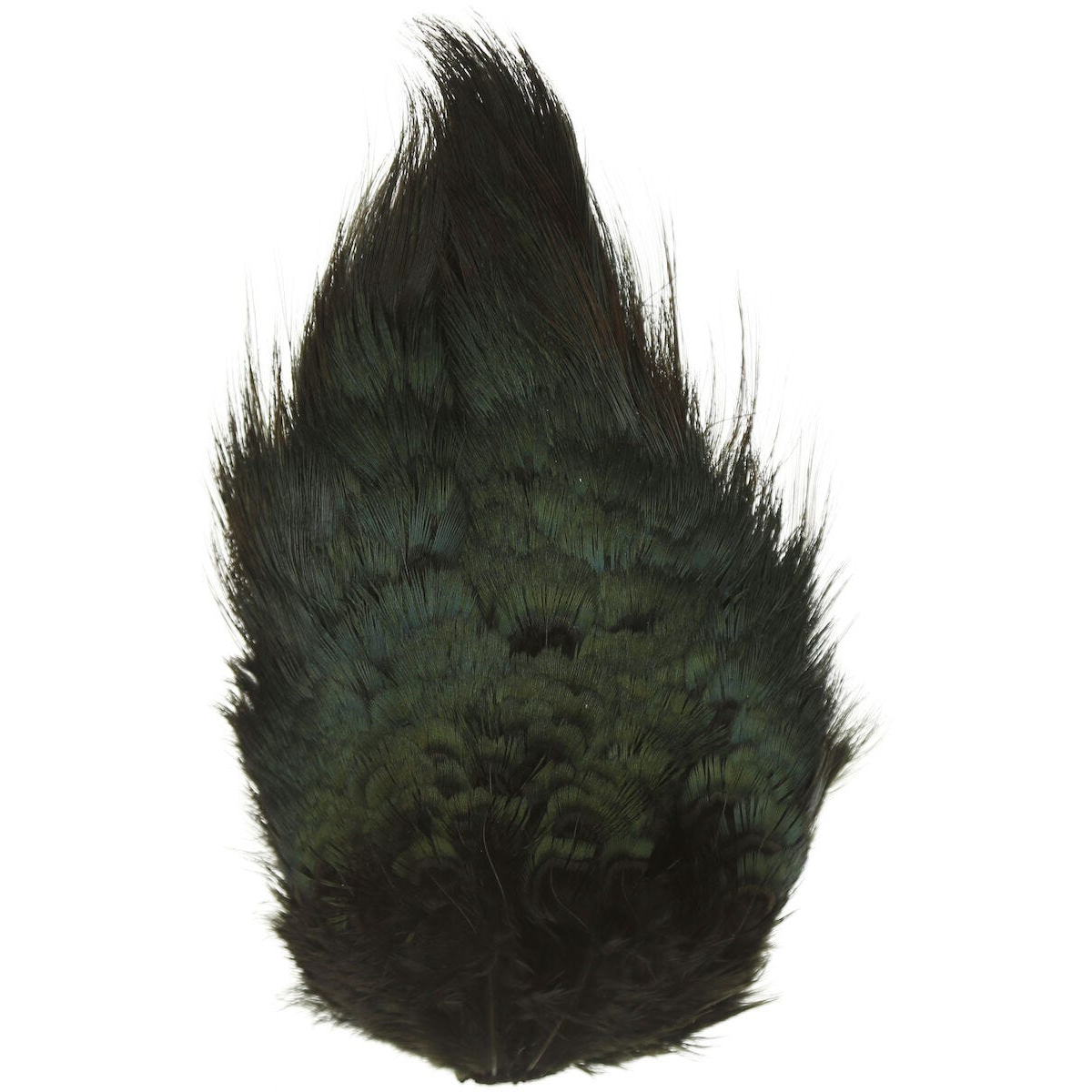 Ring-Necked Pheasant Rump Patch – Hunted Treasures
