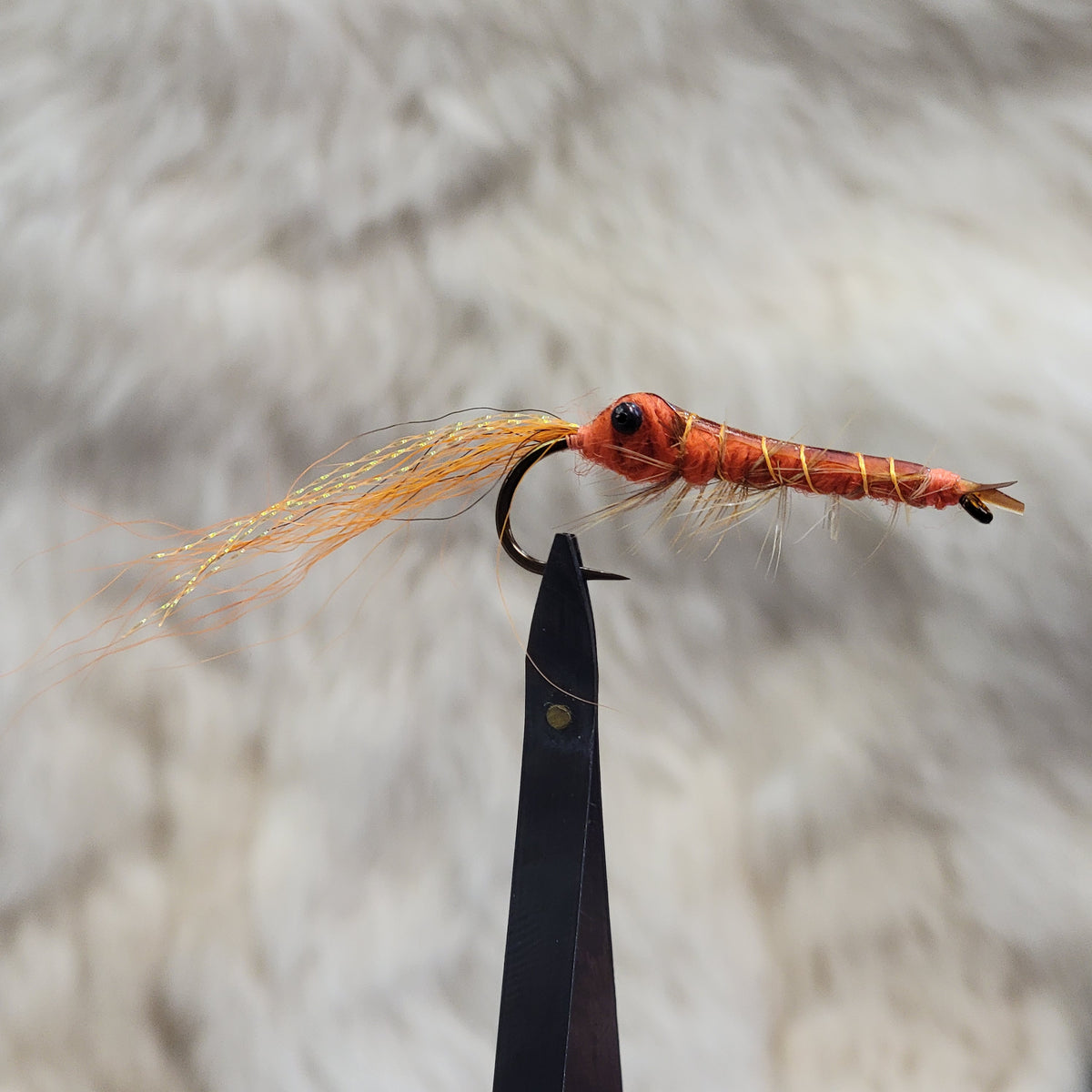 Lester the Lobster – Hunted Treasures