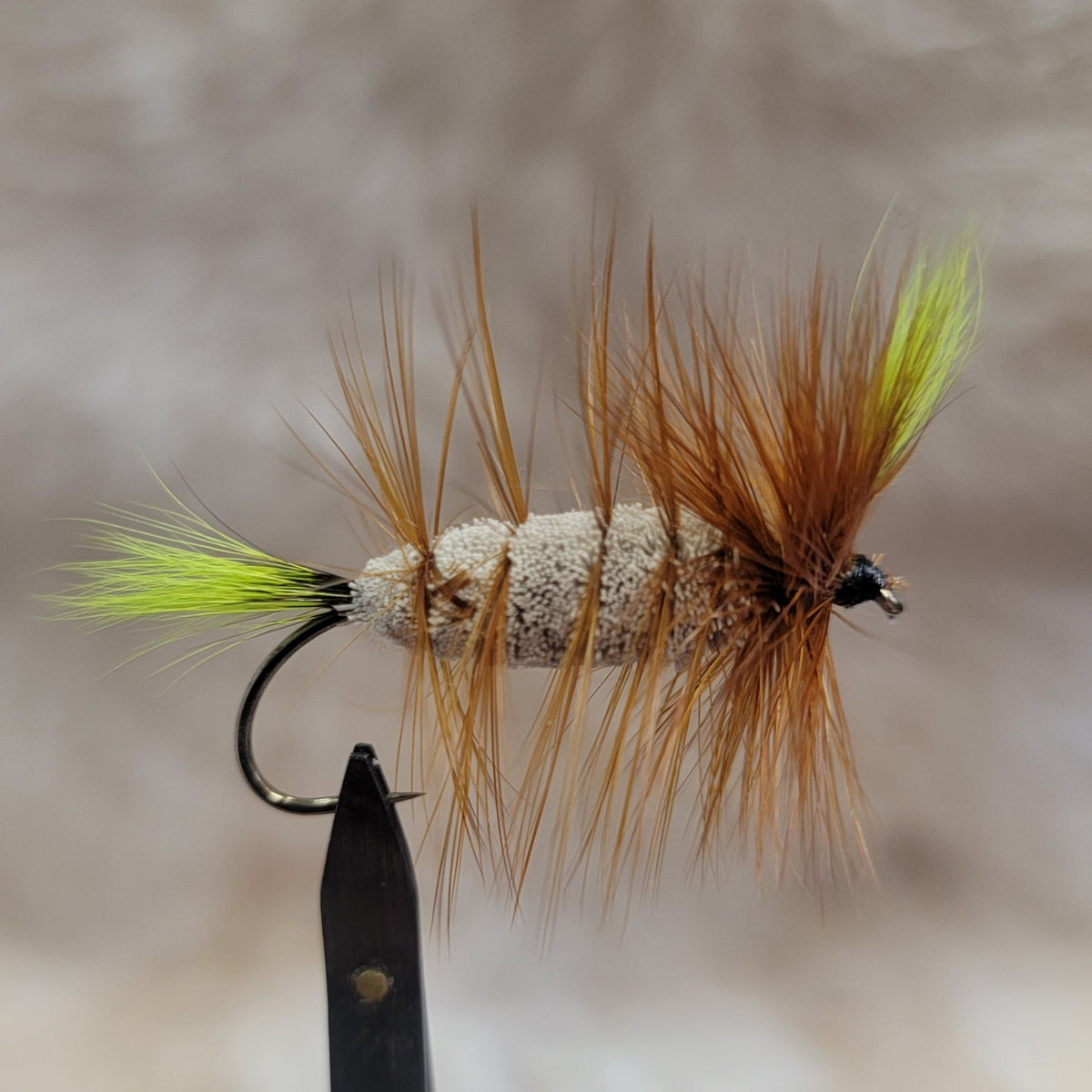 Salmon Bomber - Brown Hackle, Chartreuse Wing & Tail – Hunted Treasures