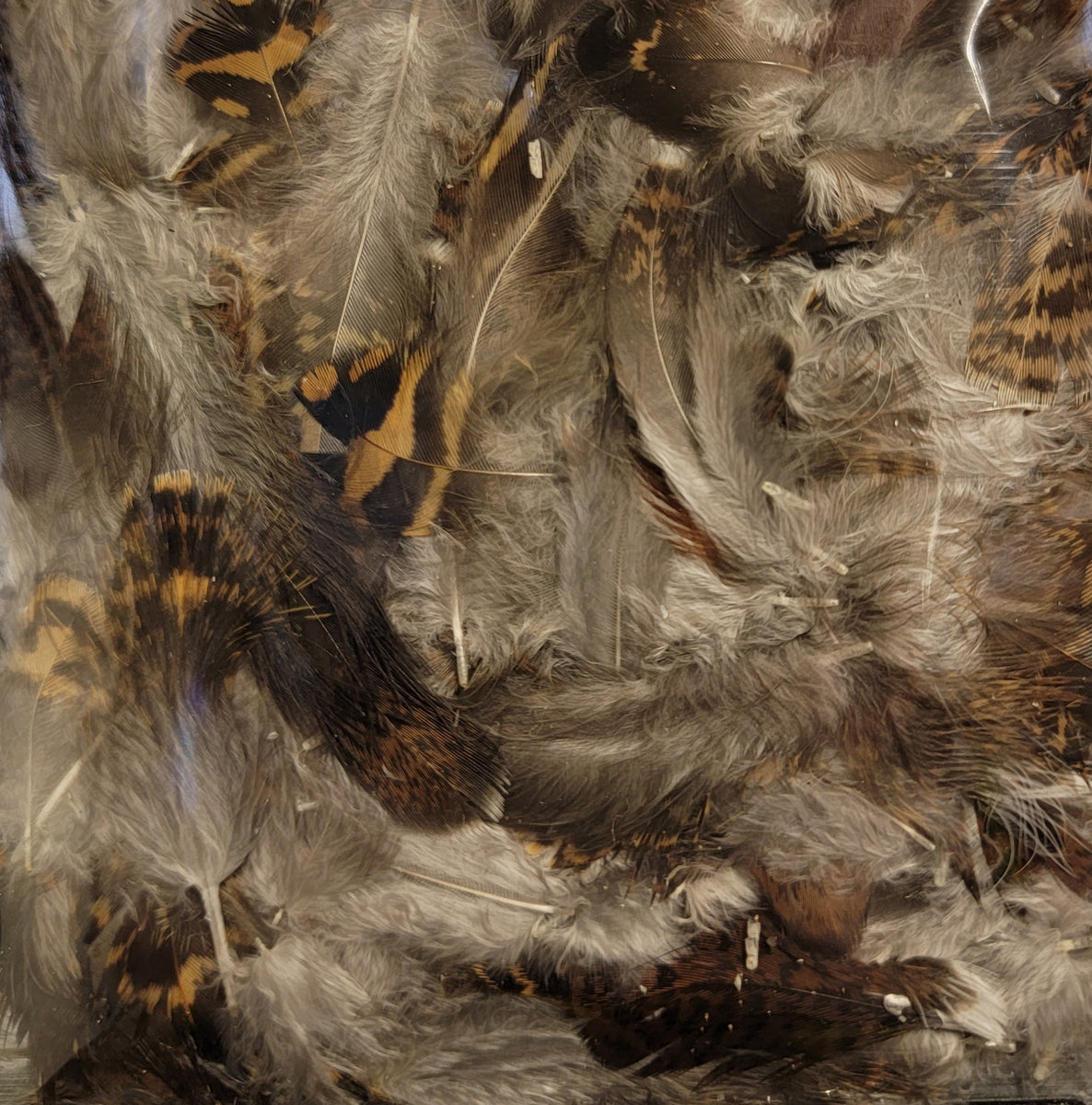 Grouse Body Plumage 2 Gram – Hunted Treasures