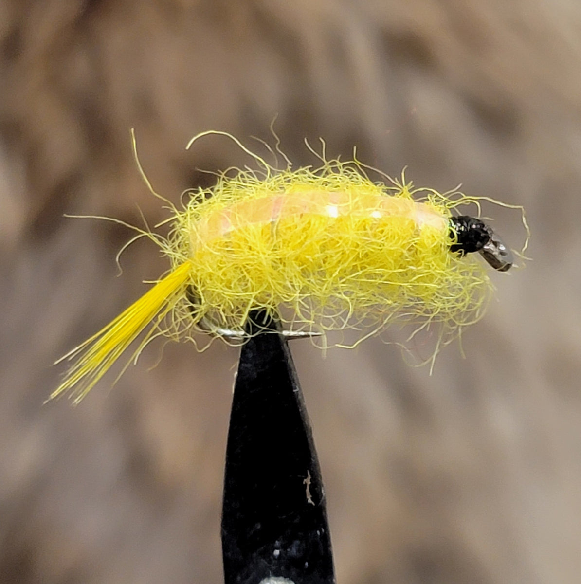 Yellow Scud Back Nymph – Hunted Treasures