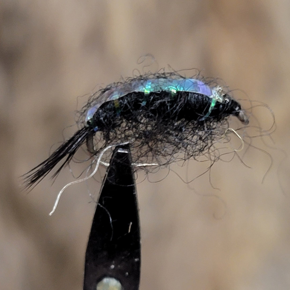 Black Scud Back Nymph – Hunted Treasures