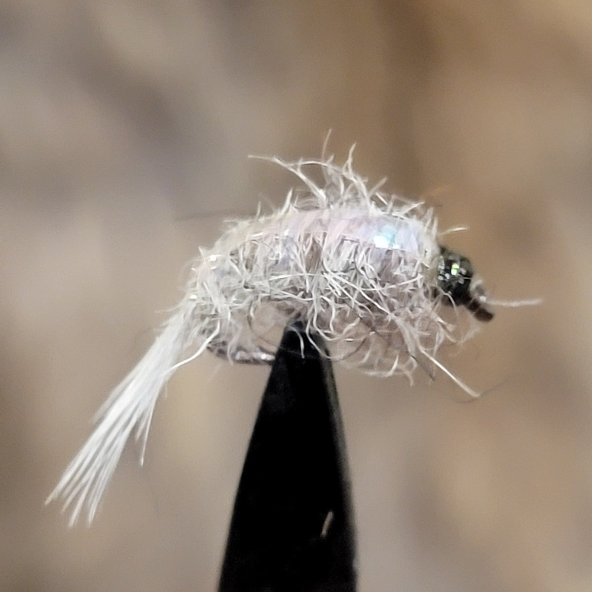 Grey Scud Back Nymph – Hunted Treasures