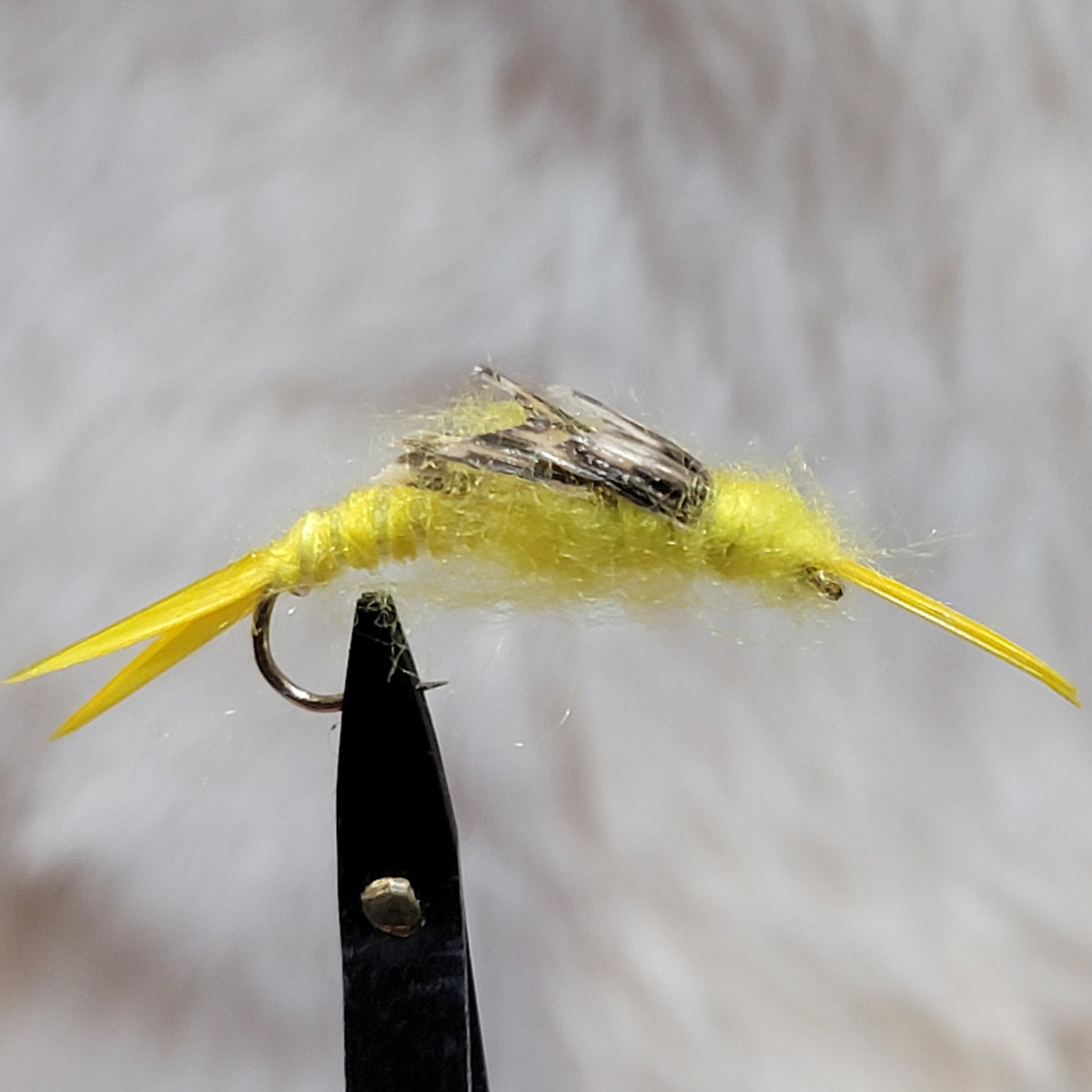 Yellow Stonefly Nymph – Hunted Treasures