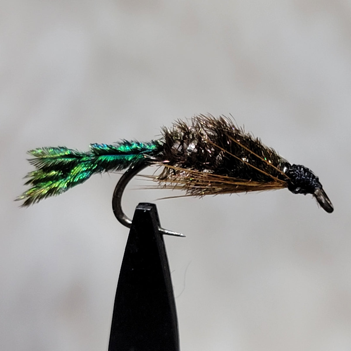 Zug Bug – Hunted Treasures