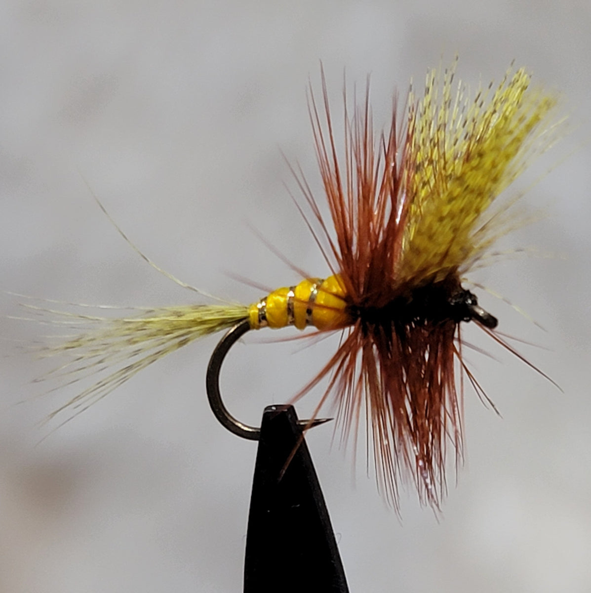 Yellow Drake – Hunted Treasures