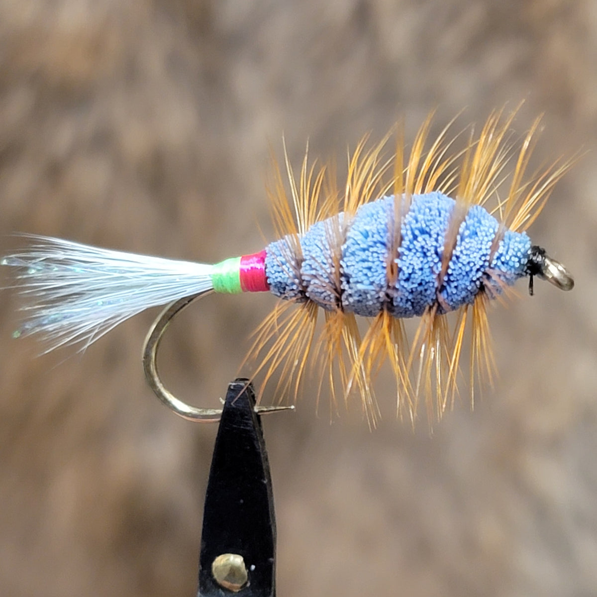 Smurf Salmon Bug – Hunted Treasures